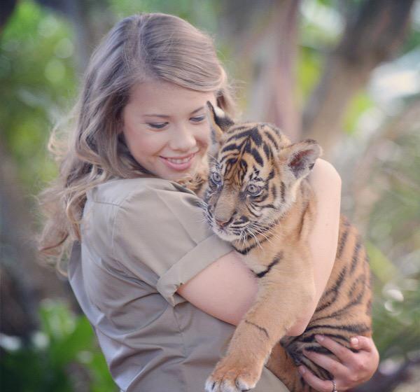 Tiger cub | Scrolller