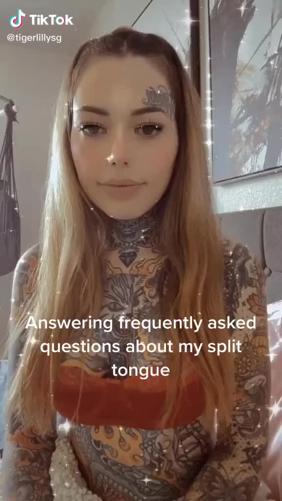 Tiger Lilly | Scrolller