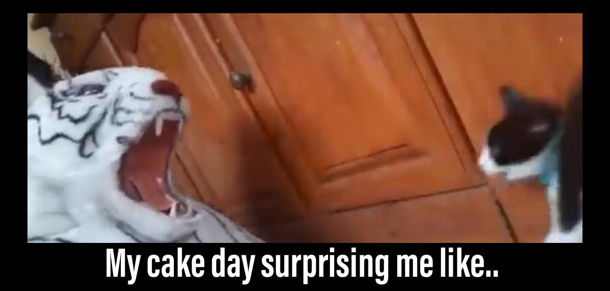 Time really flies in quarantine | Scrolller