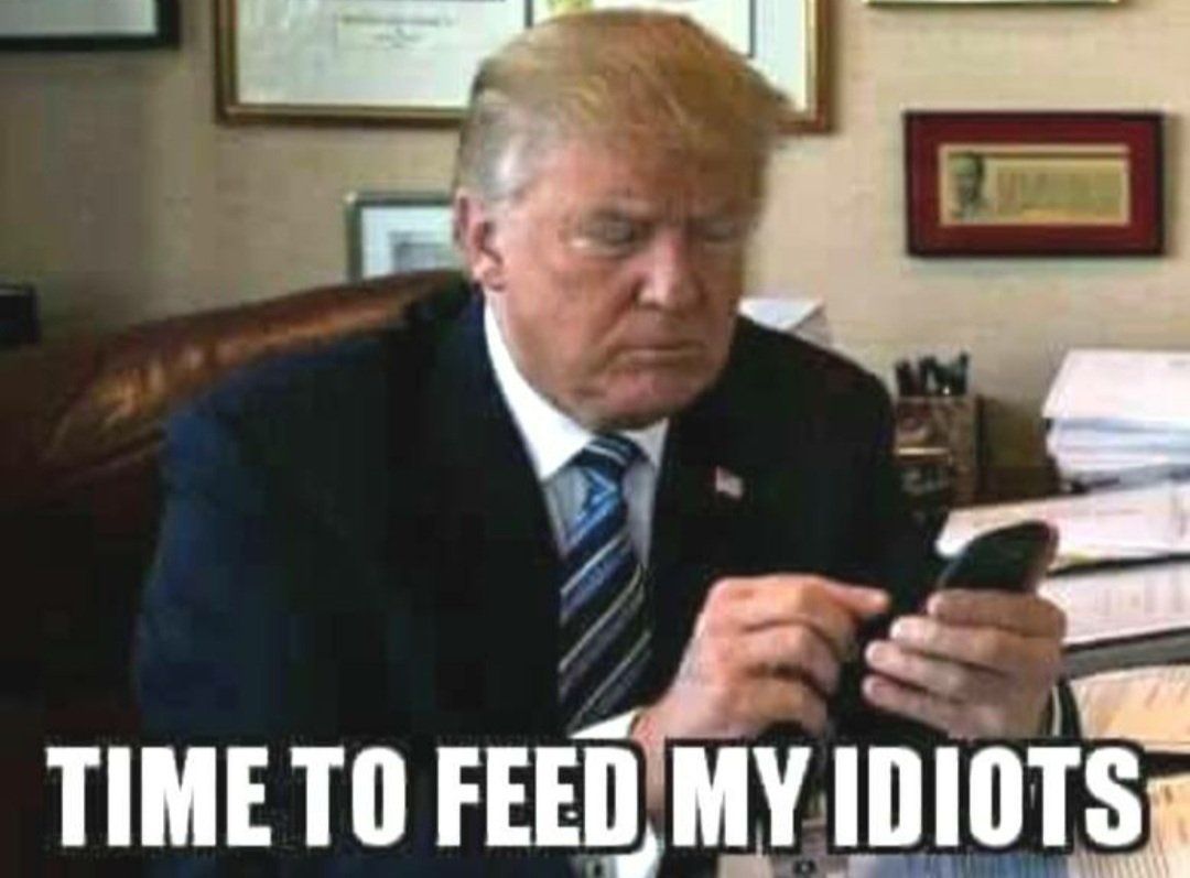 Time to feed them | Scrolller