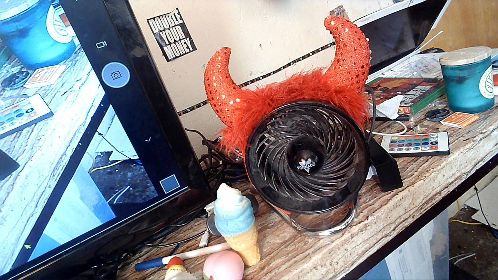 tiny but mighty | Scrolller