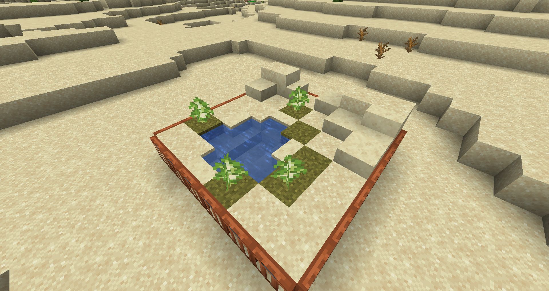 Tiny desert oasis! | Scrolller