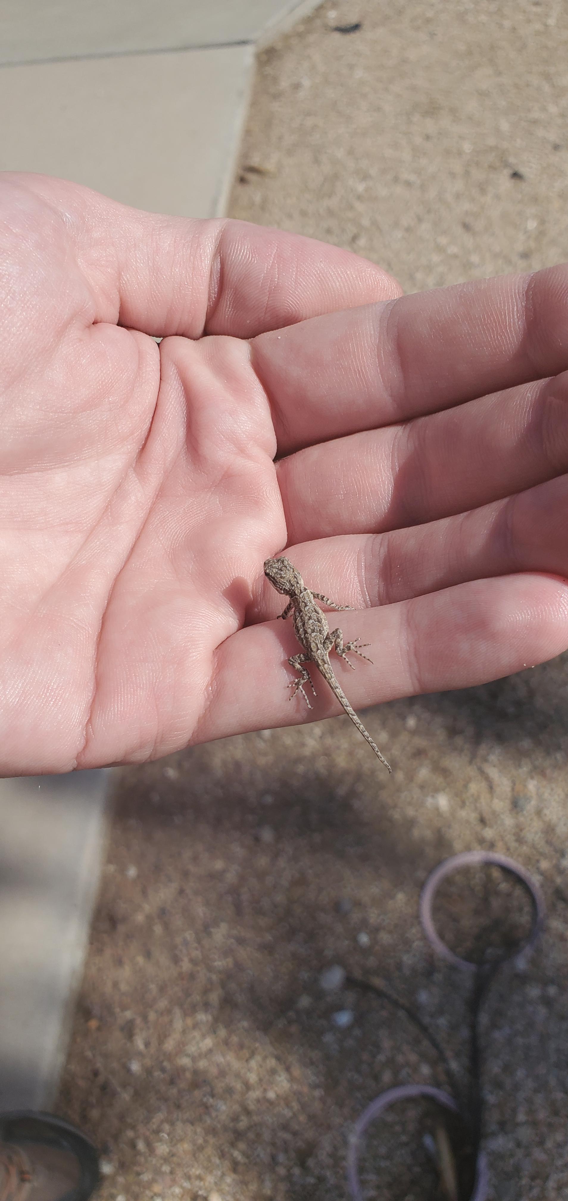 tiny friend!!! | Scrolller