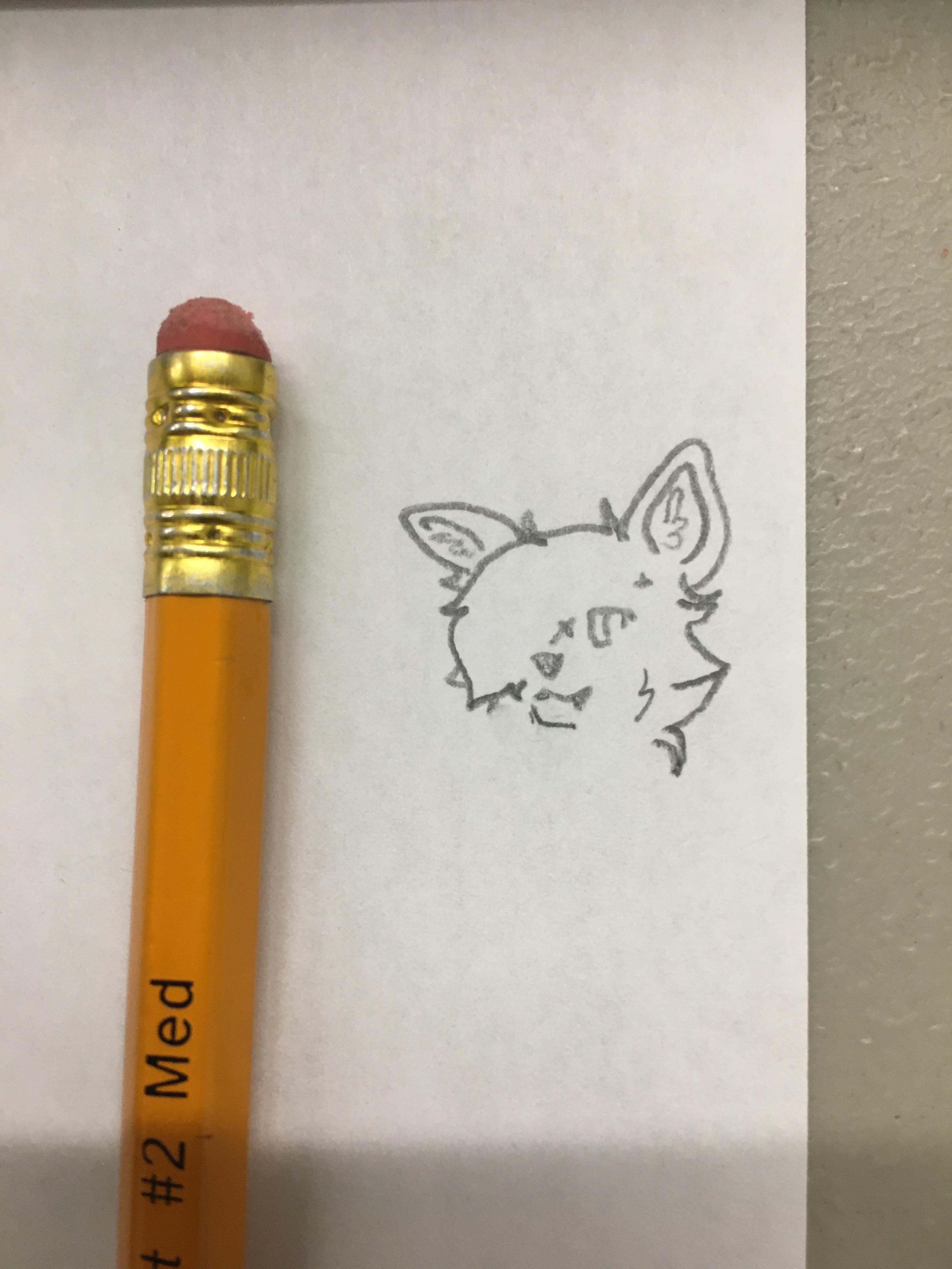 Tiny homework doodle | Scrolller