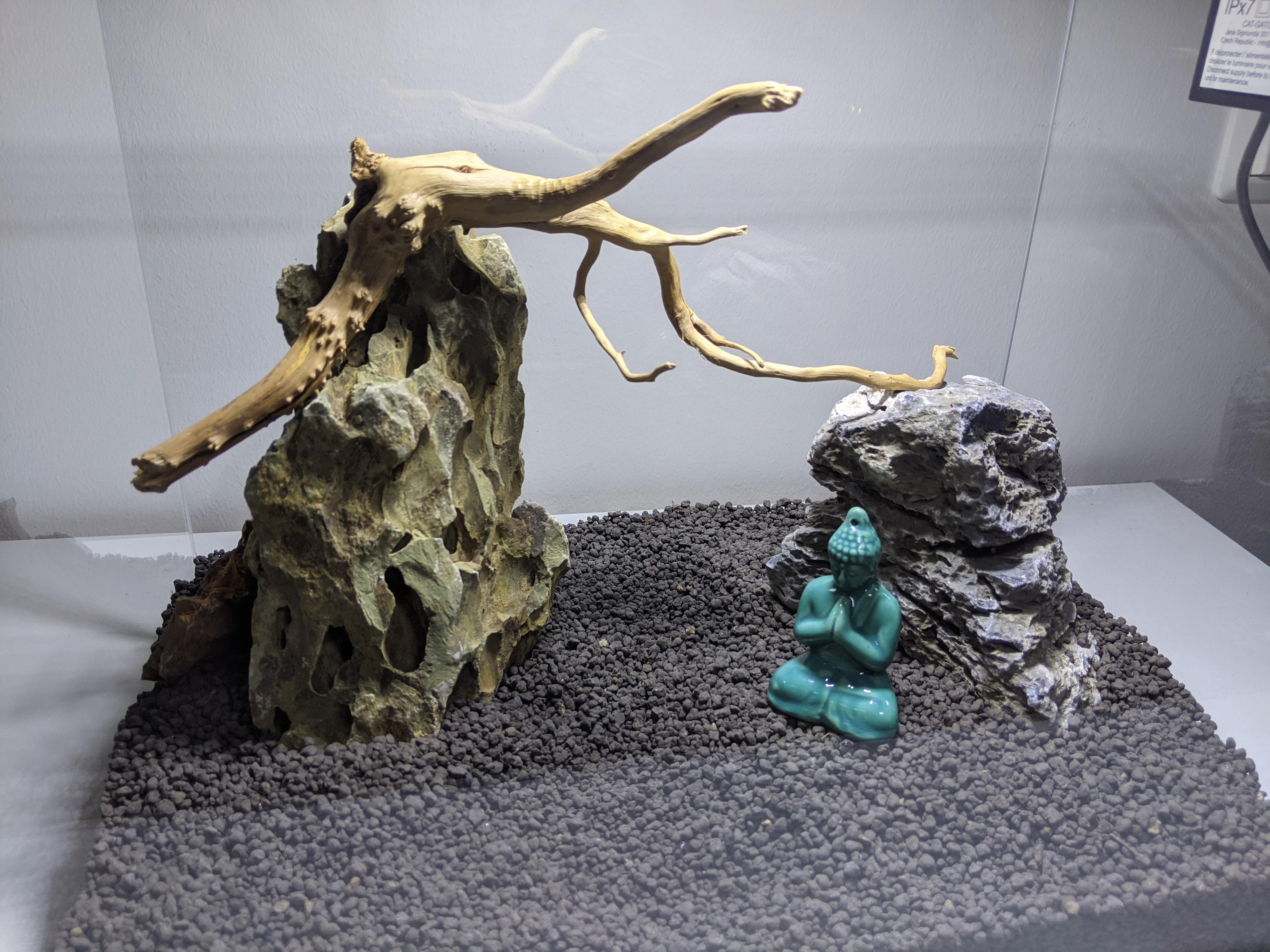 Tips For First Tank Scrolller