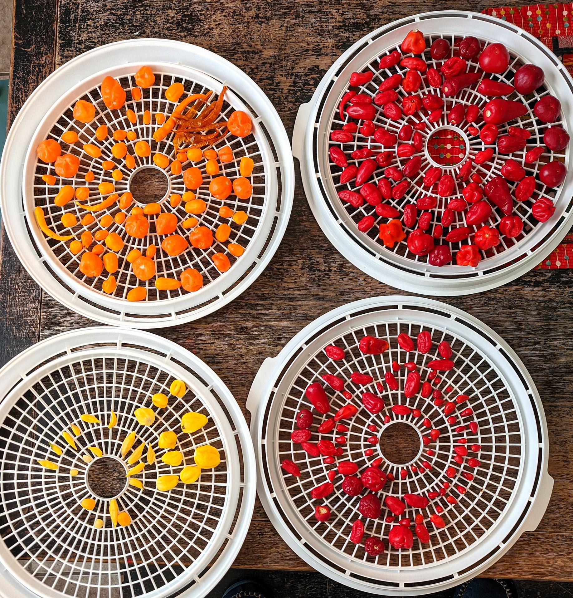 To the dryer! | Scrolller