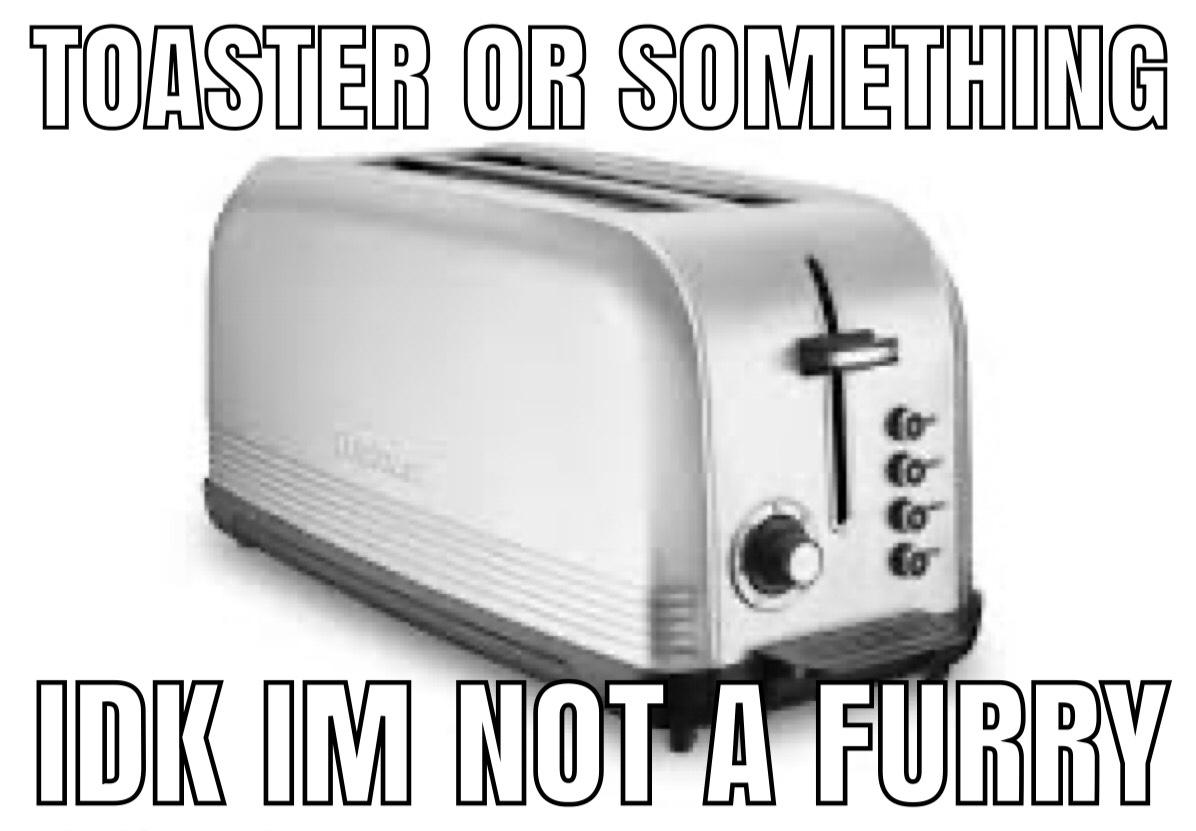 Toaster_irl | Scrolller