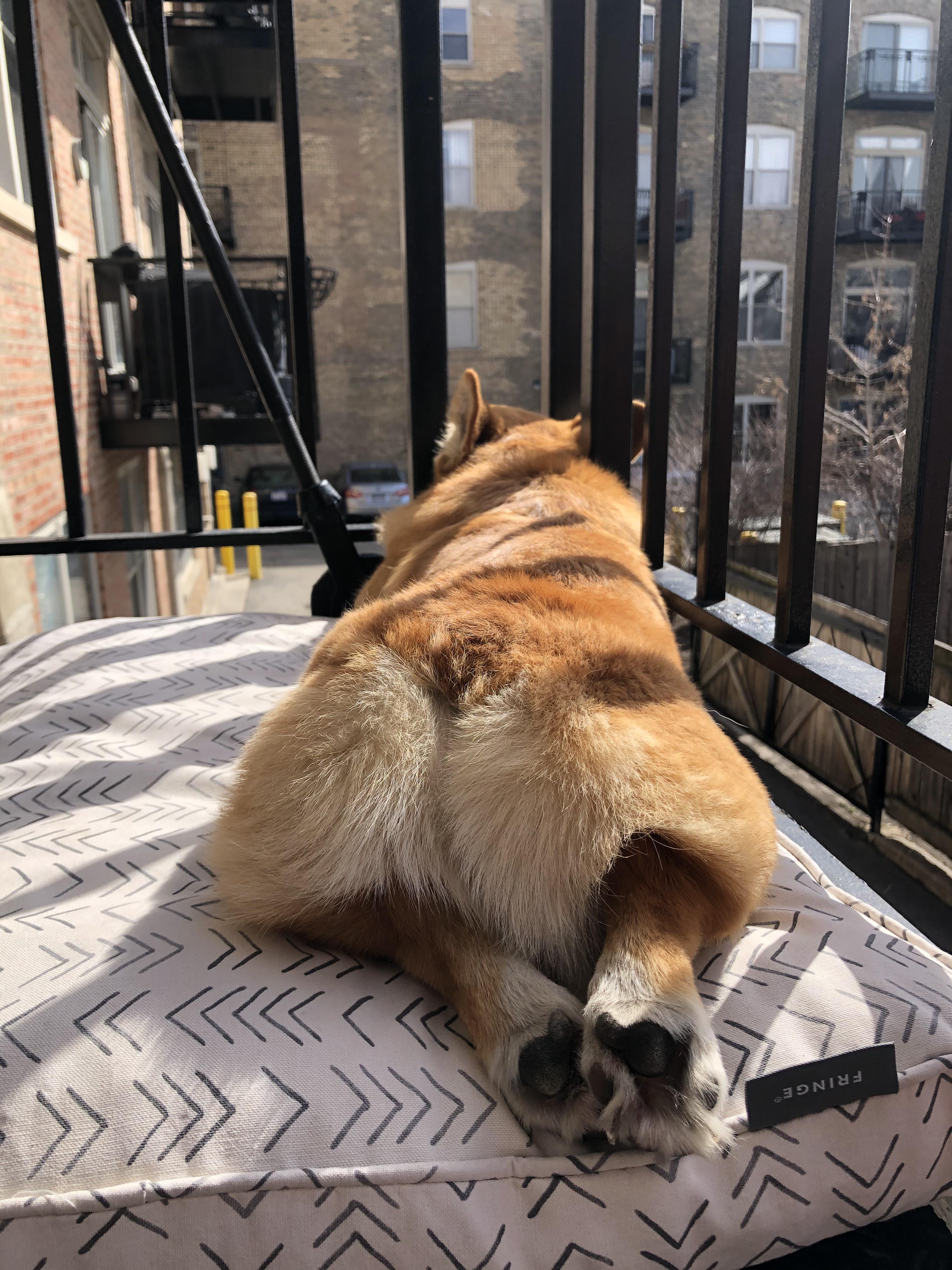 toasty sunbathing loaf 🍞 💘 | Scrolller