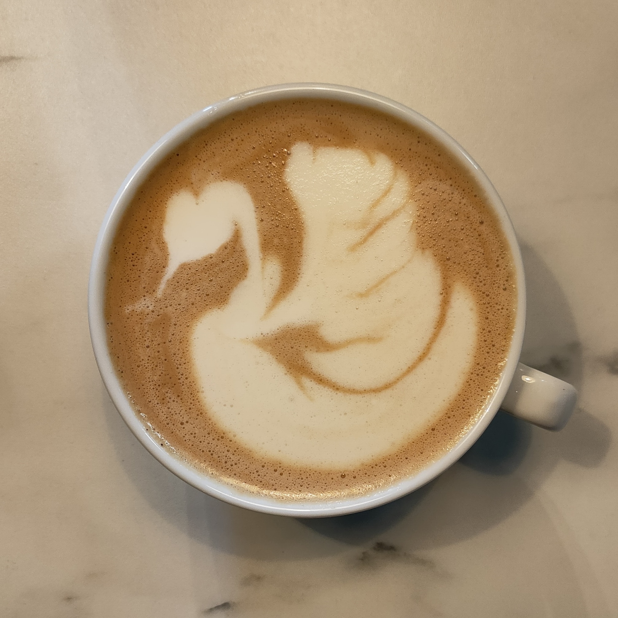 Today practice. Café latte oatmilk. | Scrolller