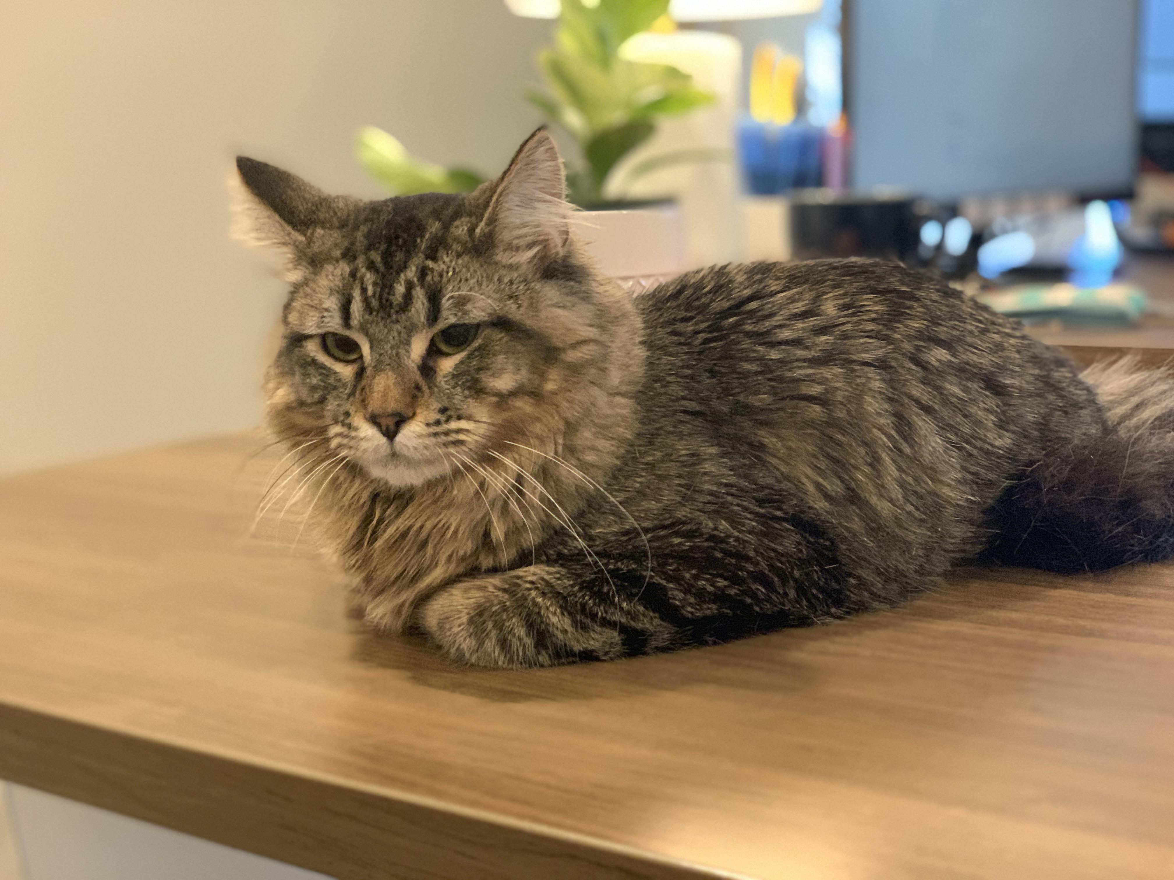 Today’s Co-worker. | Scrolller