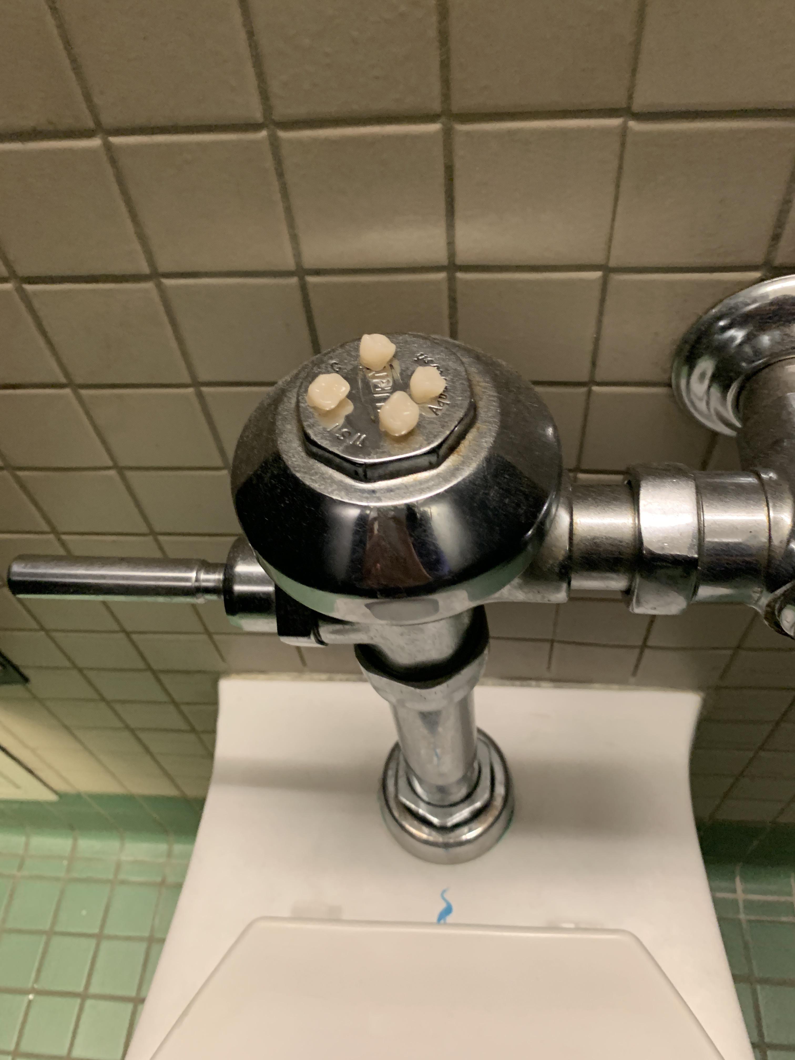 Toilet teeth | Scrolller