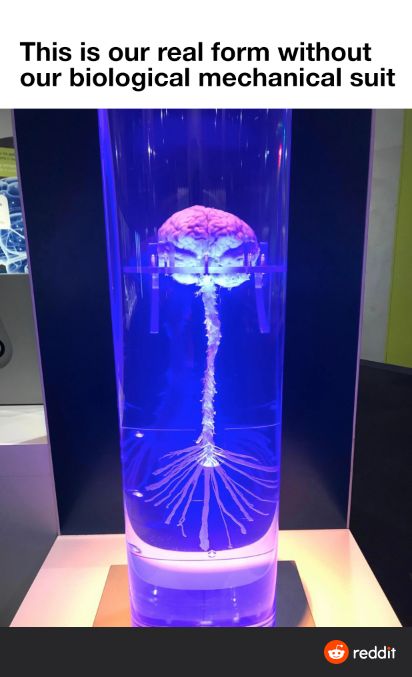 Too relatable | Scrolller