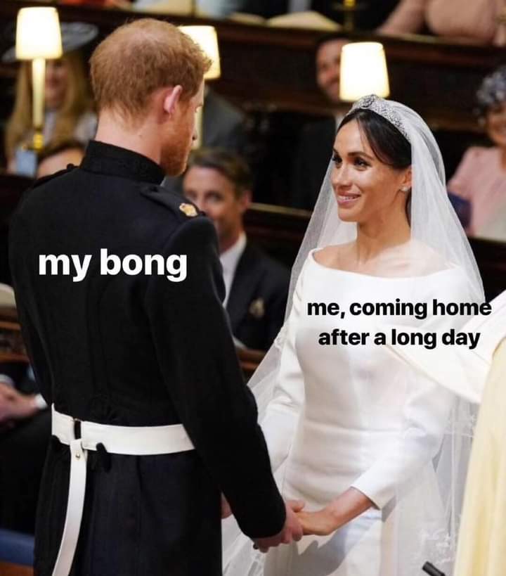 Too true | Scrolller