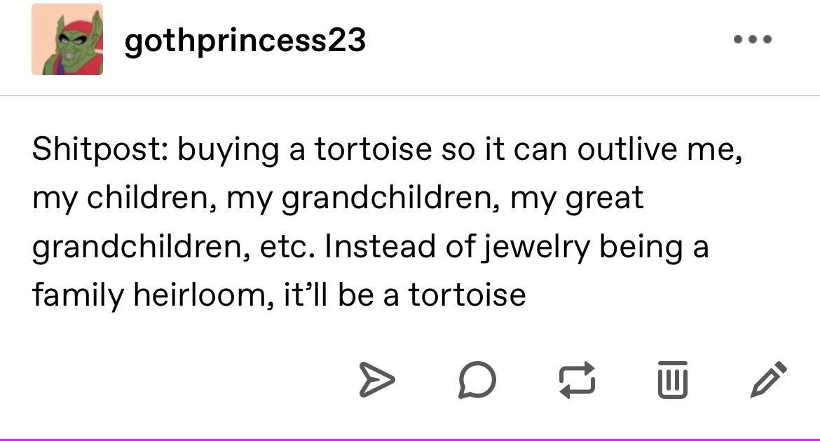 Tortoise | Scrolller
