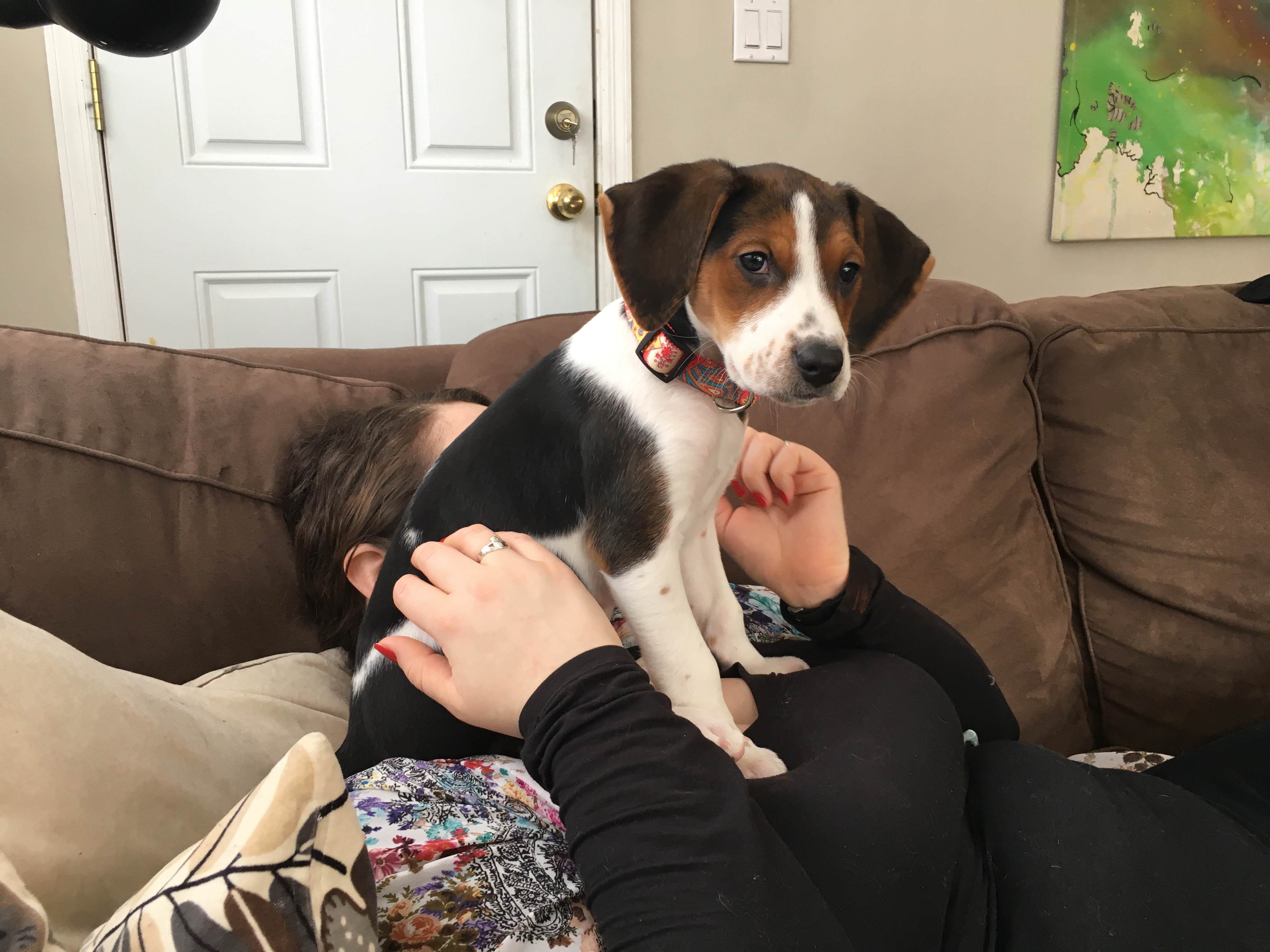 Tove’s First Day Home | Scrolller