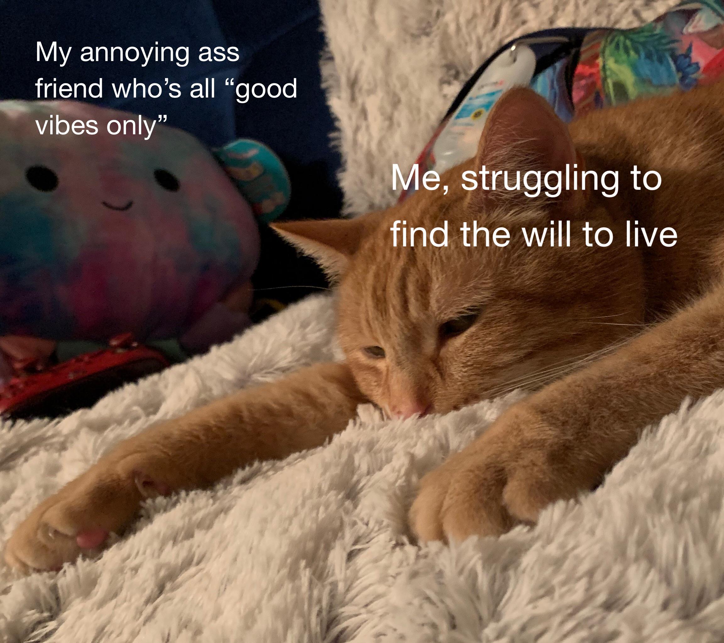 Toxic positivity | Scrolller