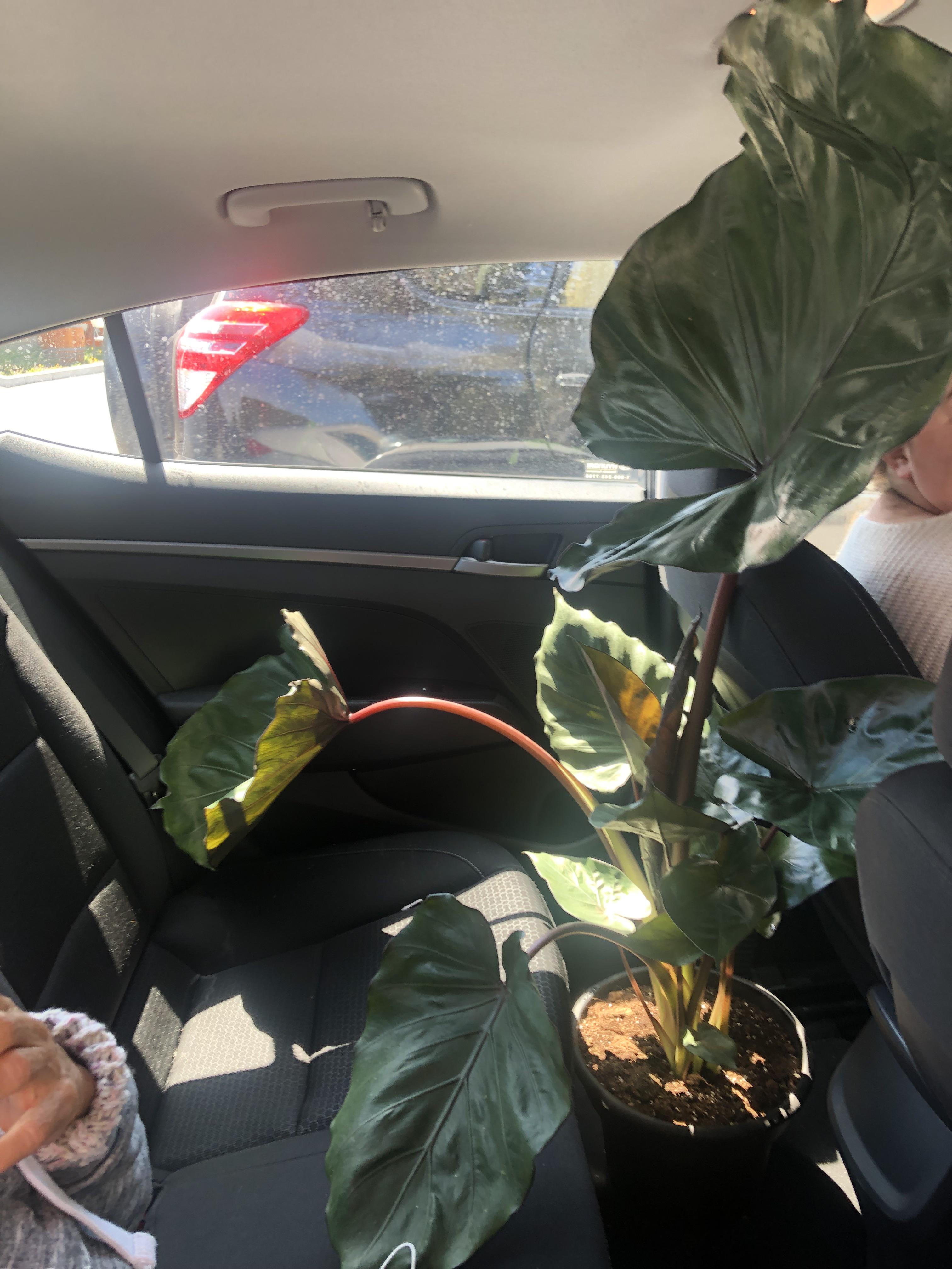 Trader Joe’s find for the day | Scrolller