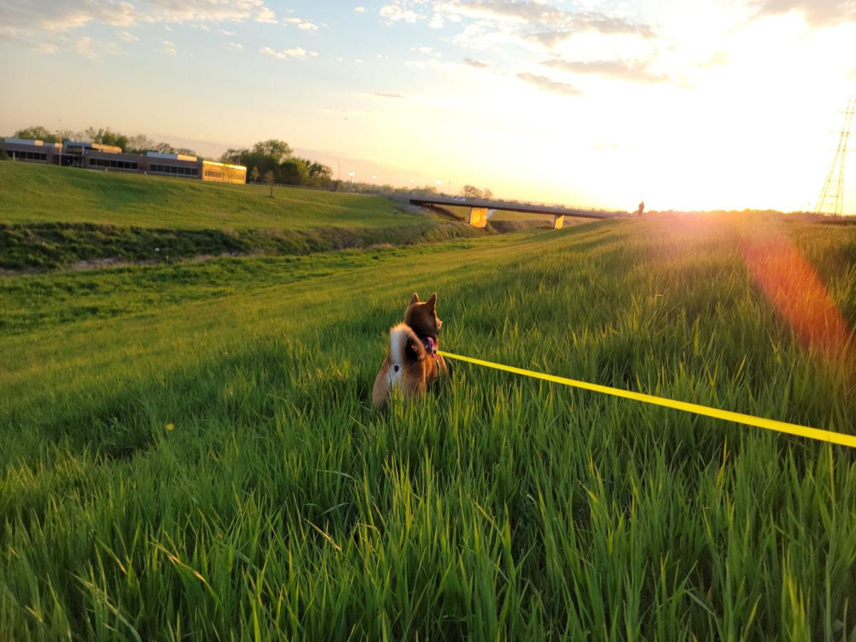 Trail Guardian. | Scrolller