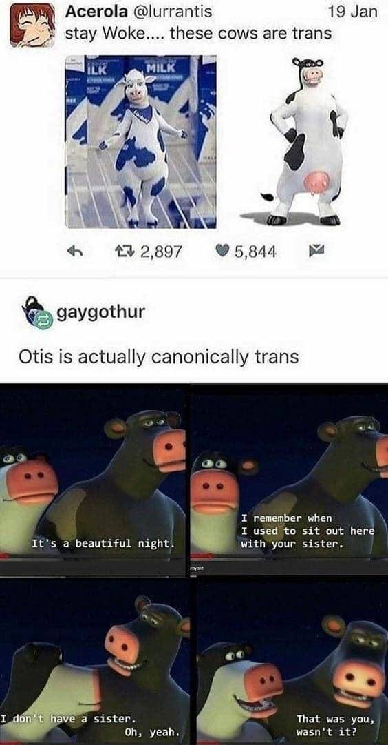 👏Trans👏Cows👏 | Scrolller