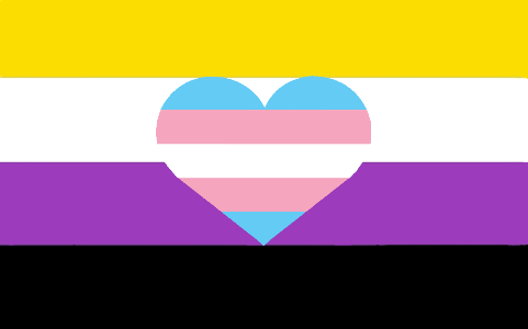 Trans/NB flag | Scrolller