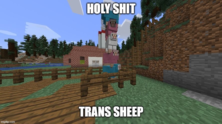 Trans sheep | Scrolller