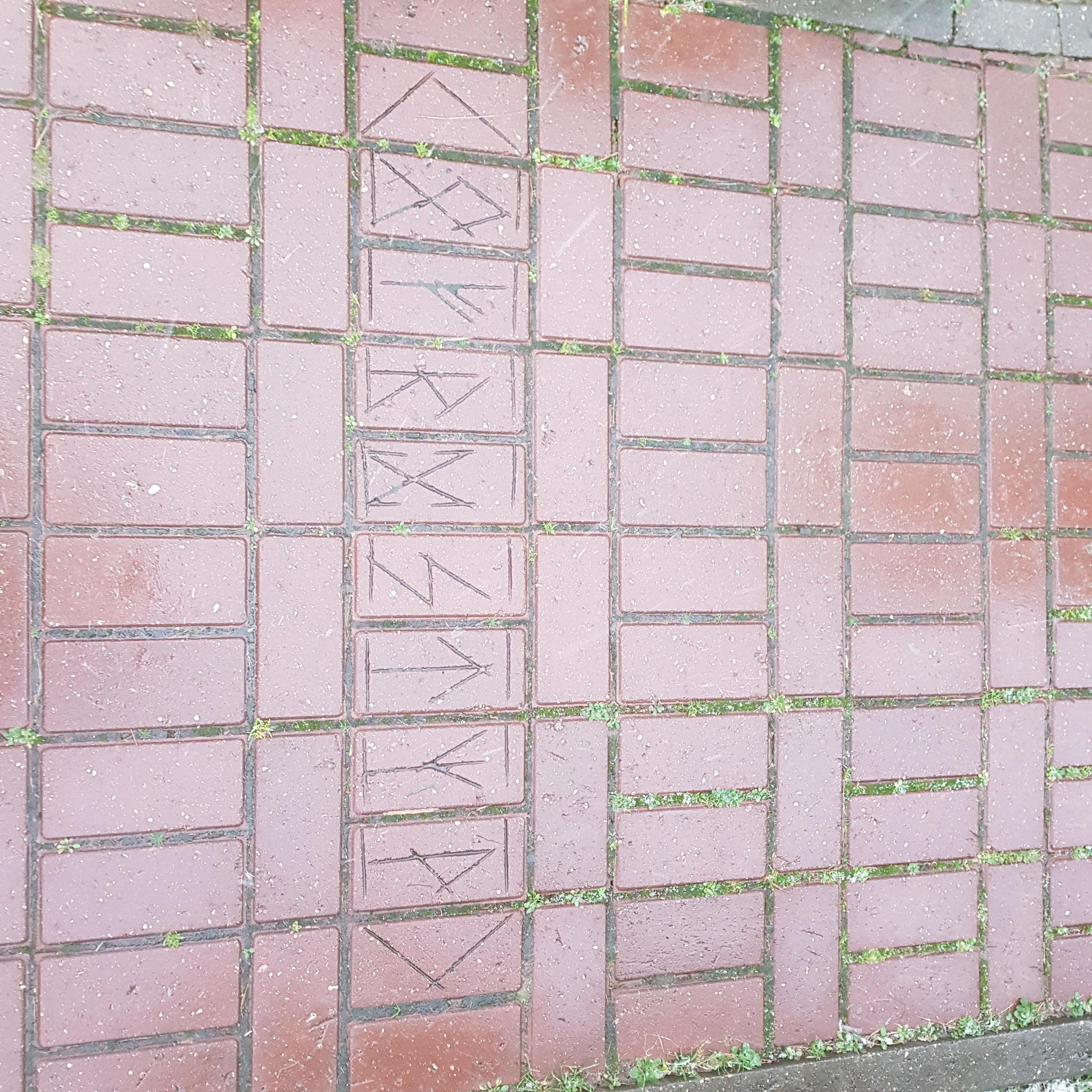 Translation, please? | Scrolller