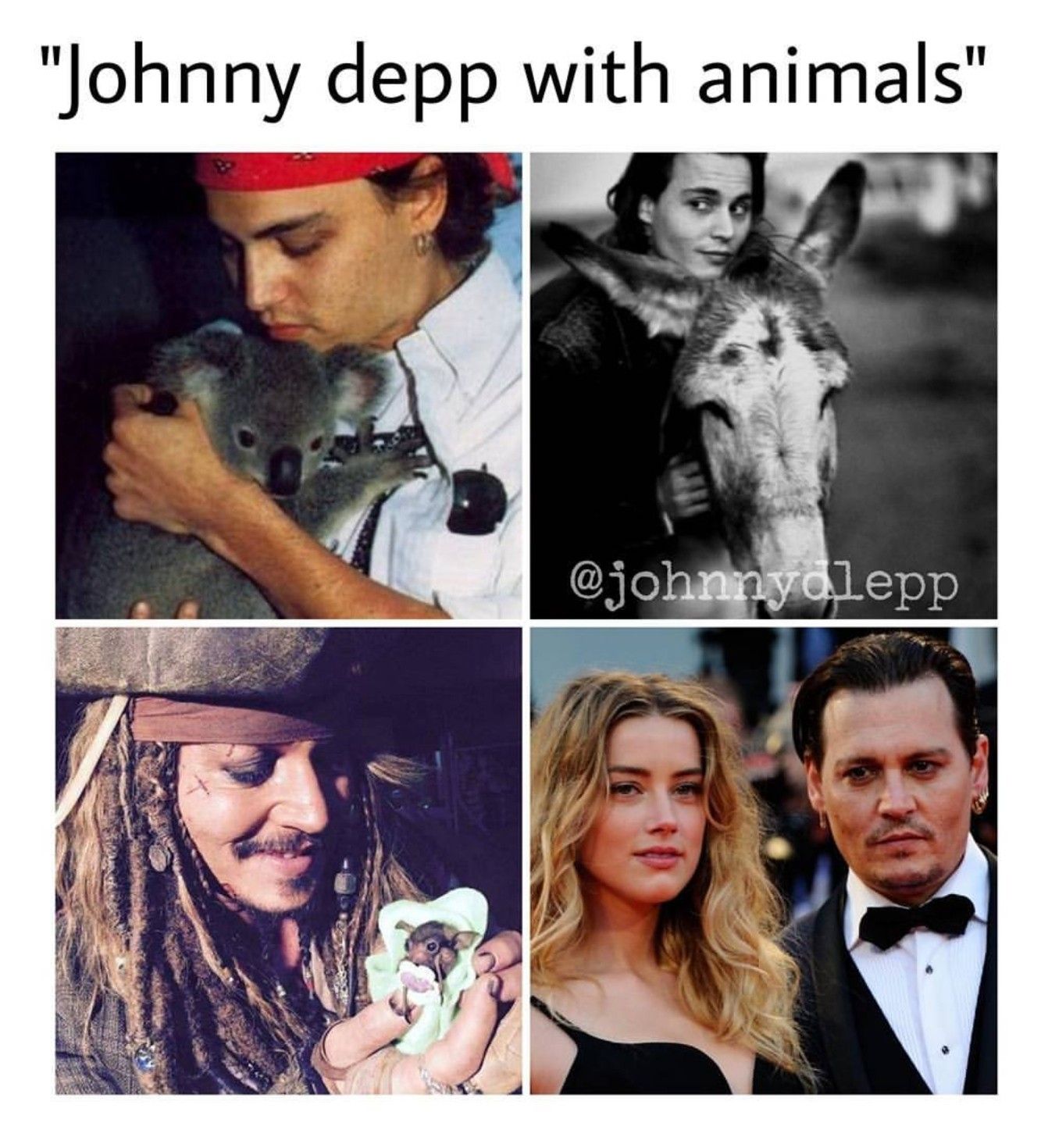 Treasure | Scrolller