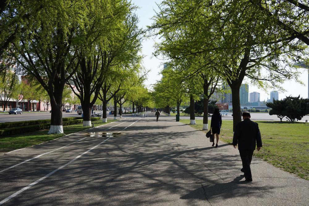 Tree-lined street in the center of Pyongyang | Scrolller