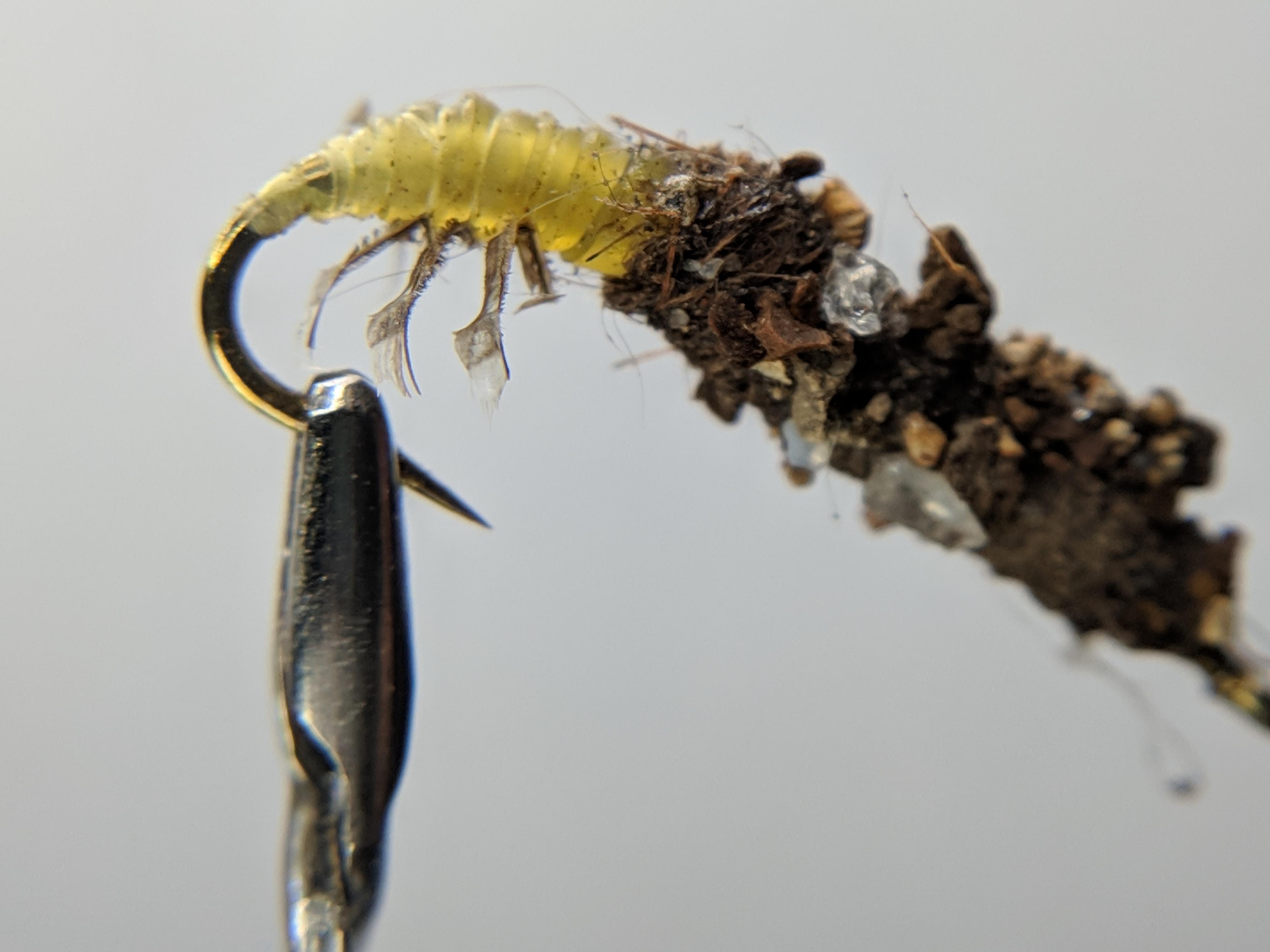 Tried another (different) cased caddis... | Scrolller