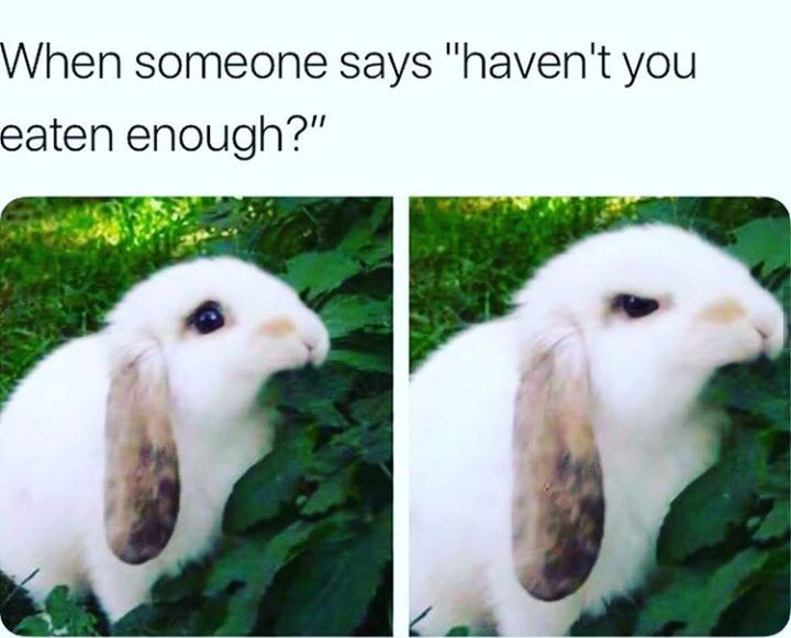 True.. XD | Scrolller