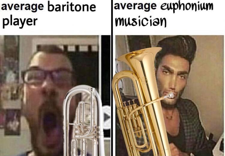 Trust me they’re VERY different | Scrolller