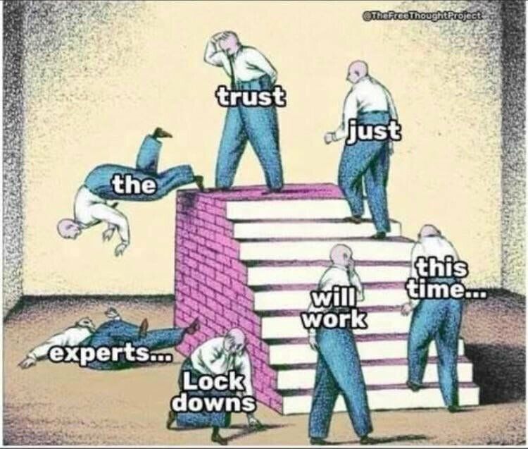 tRuSt ThE eXpErTs | Scrolller