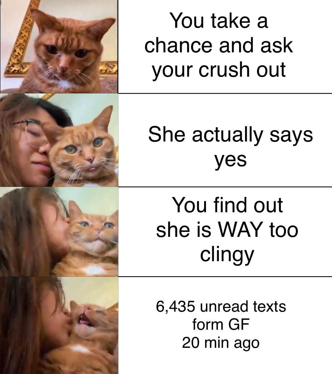 Trying out a new format | Scrolller