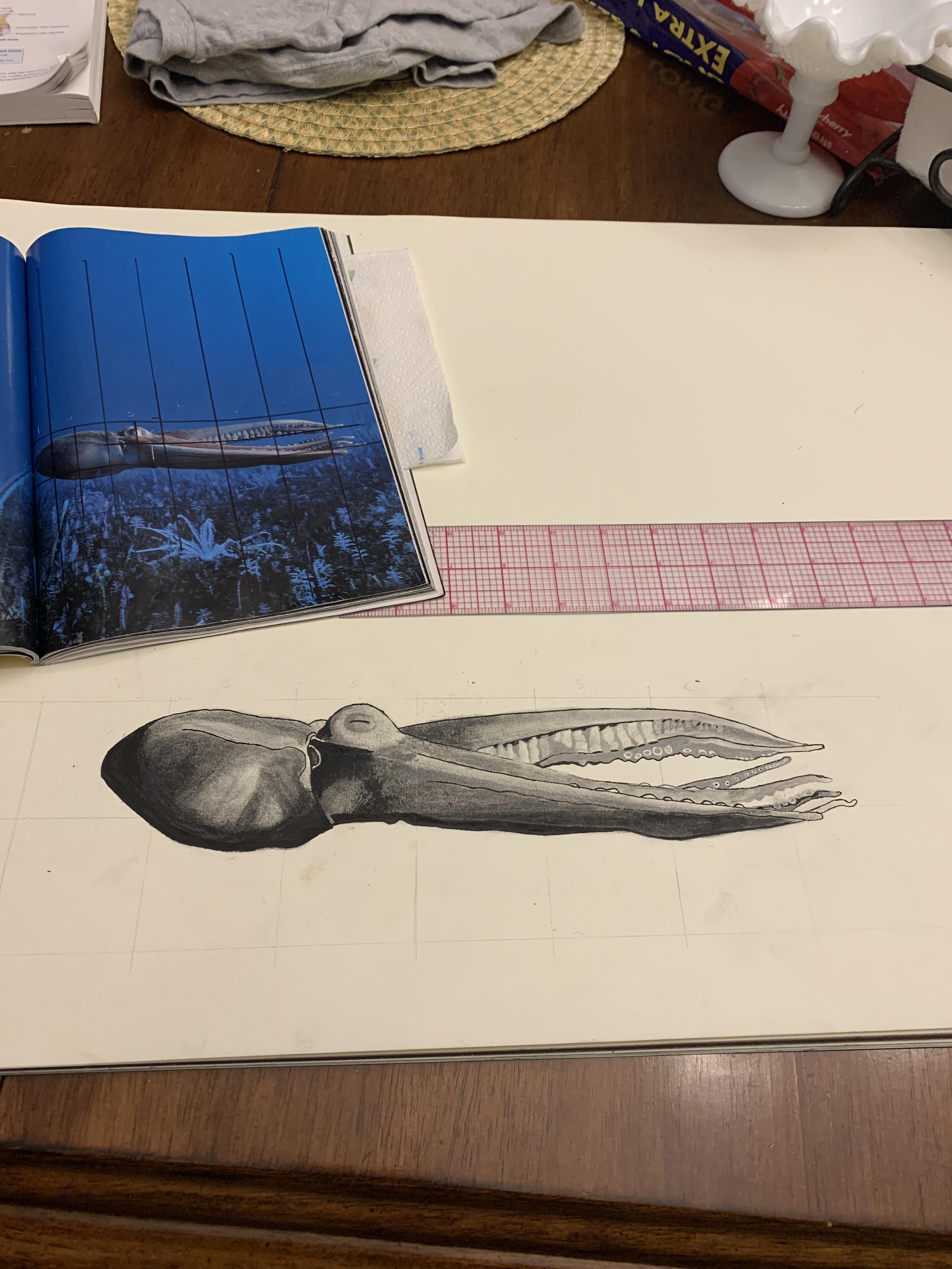 Trying to replicate a nat geo octopus pic | Scrolller