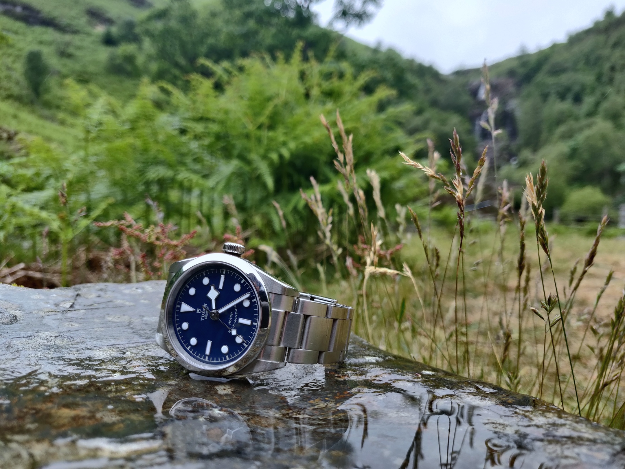 [Tudor] Black Bay 36 | Scrolller