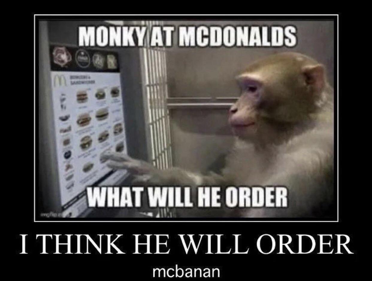 Turn monke not horny😢 | Scrolller