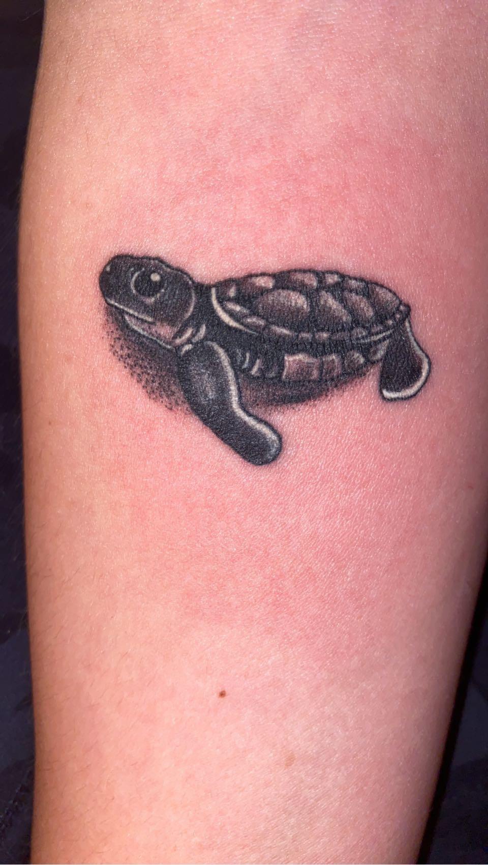 Turtle tattoo if it’s allowed 🥺 | Scrolller