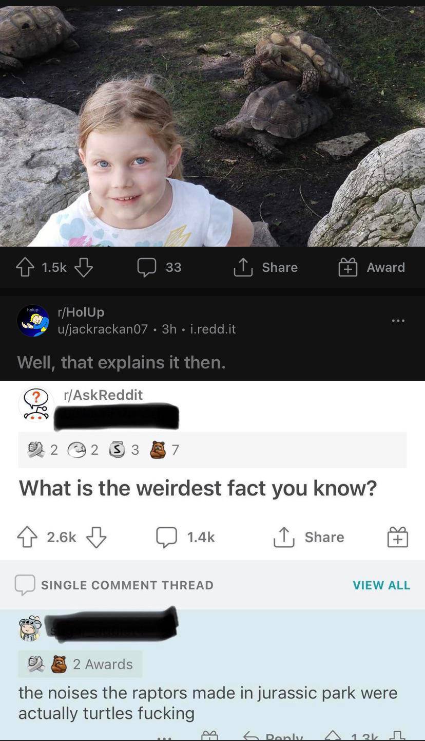 Turtles fu*king | Scrolller