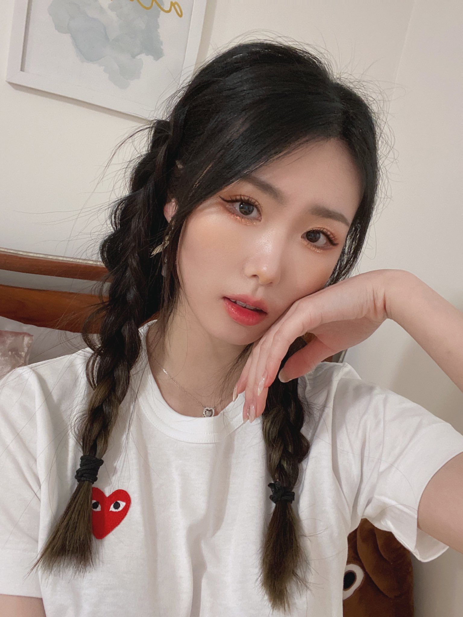 Twin braids | Scrolller