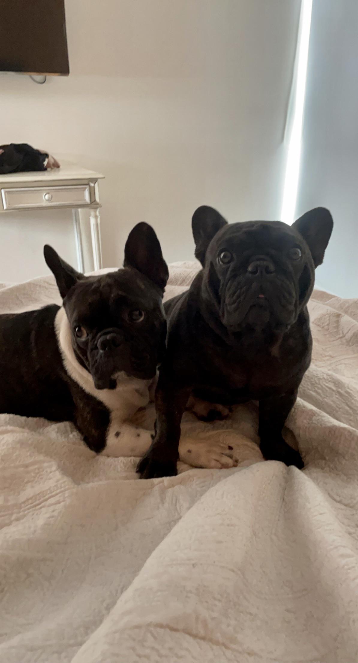 Two good boys | Scrolller