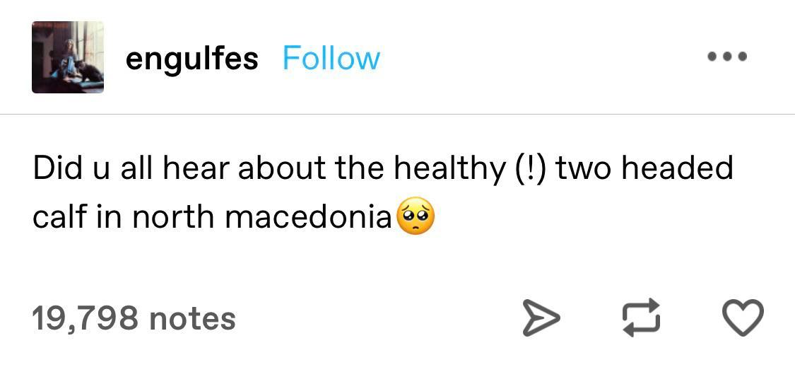 two-headed calf 🥺 | Scrolller