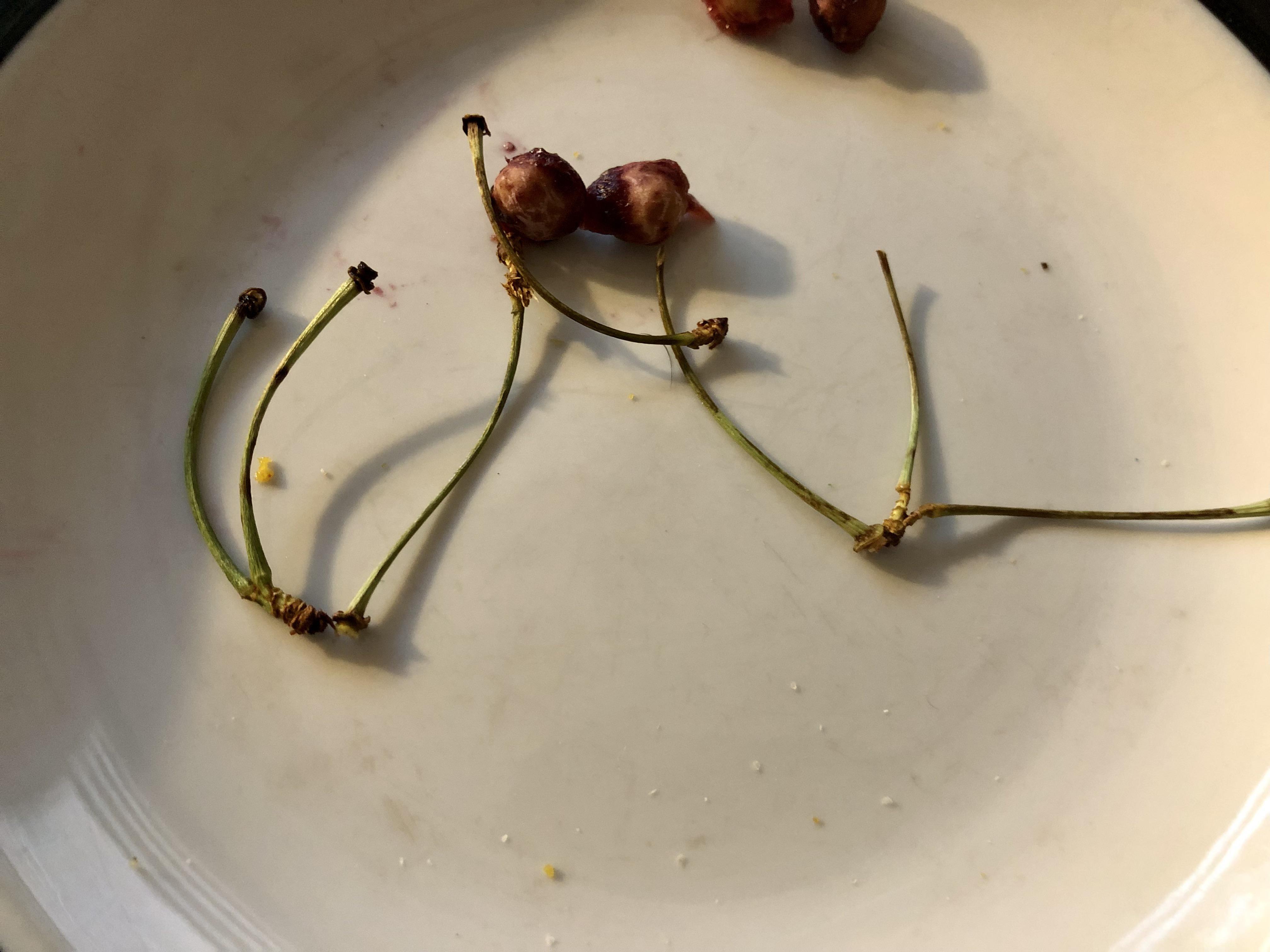 Two lovers jumping and kissing 😘😘😘😘 | Scrolller