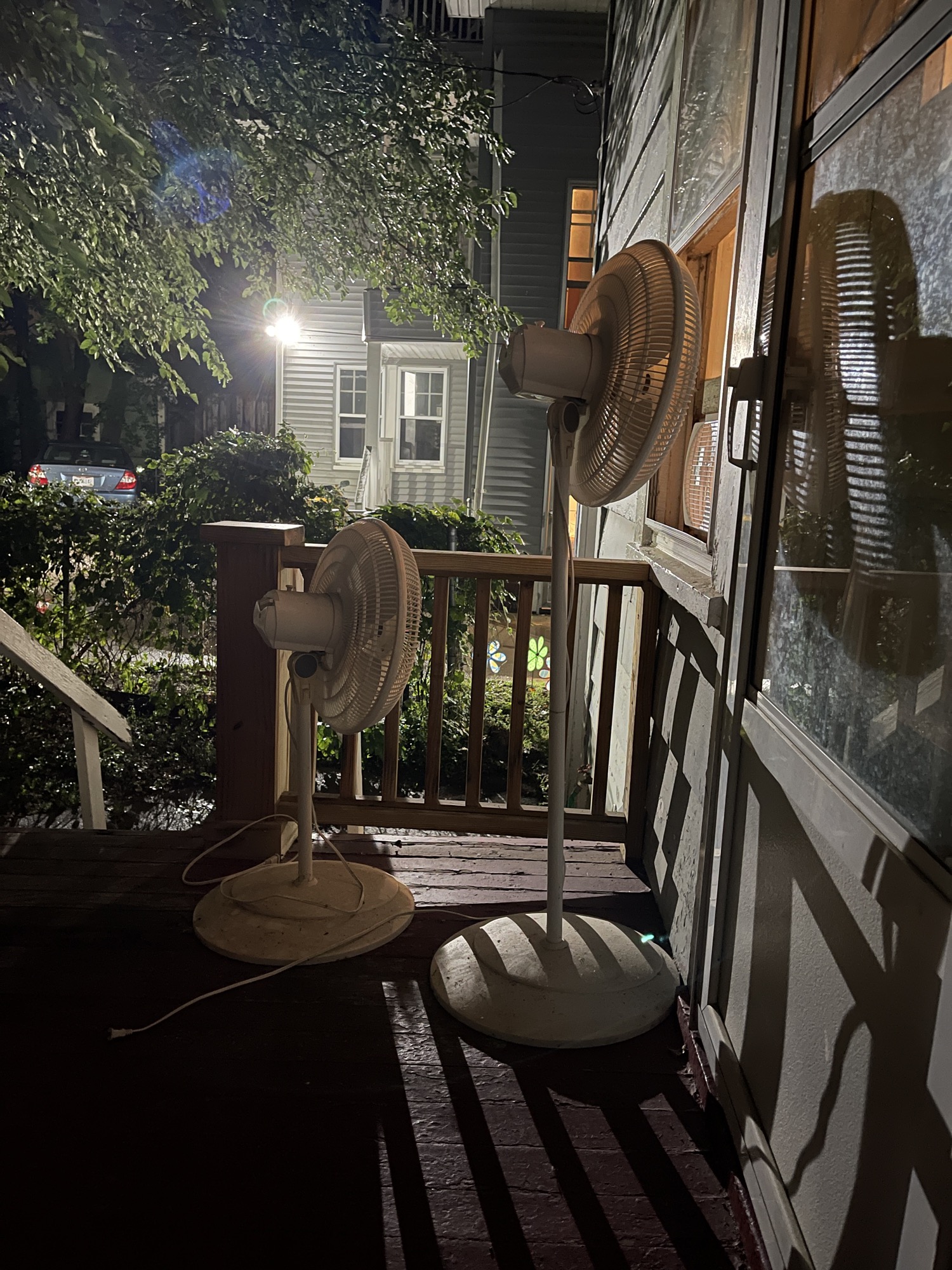 Two slender white beauties basking, fully exposed in the moonlight | Scrolller