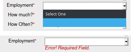 Two types of employment. "Select One" and "". Neither of which work | Scrolller