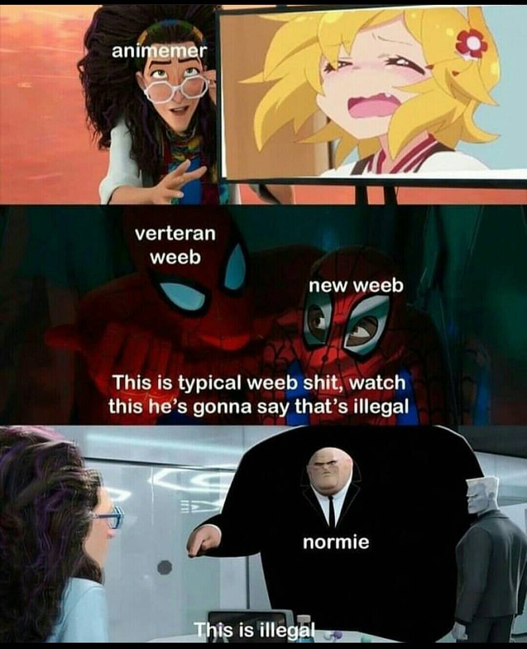 Typical memes | Scrolller