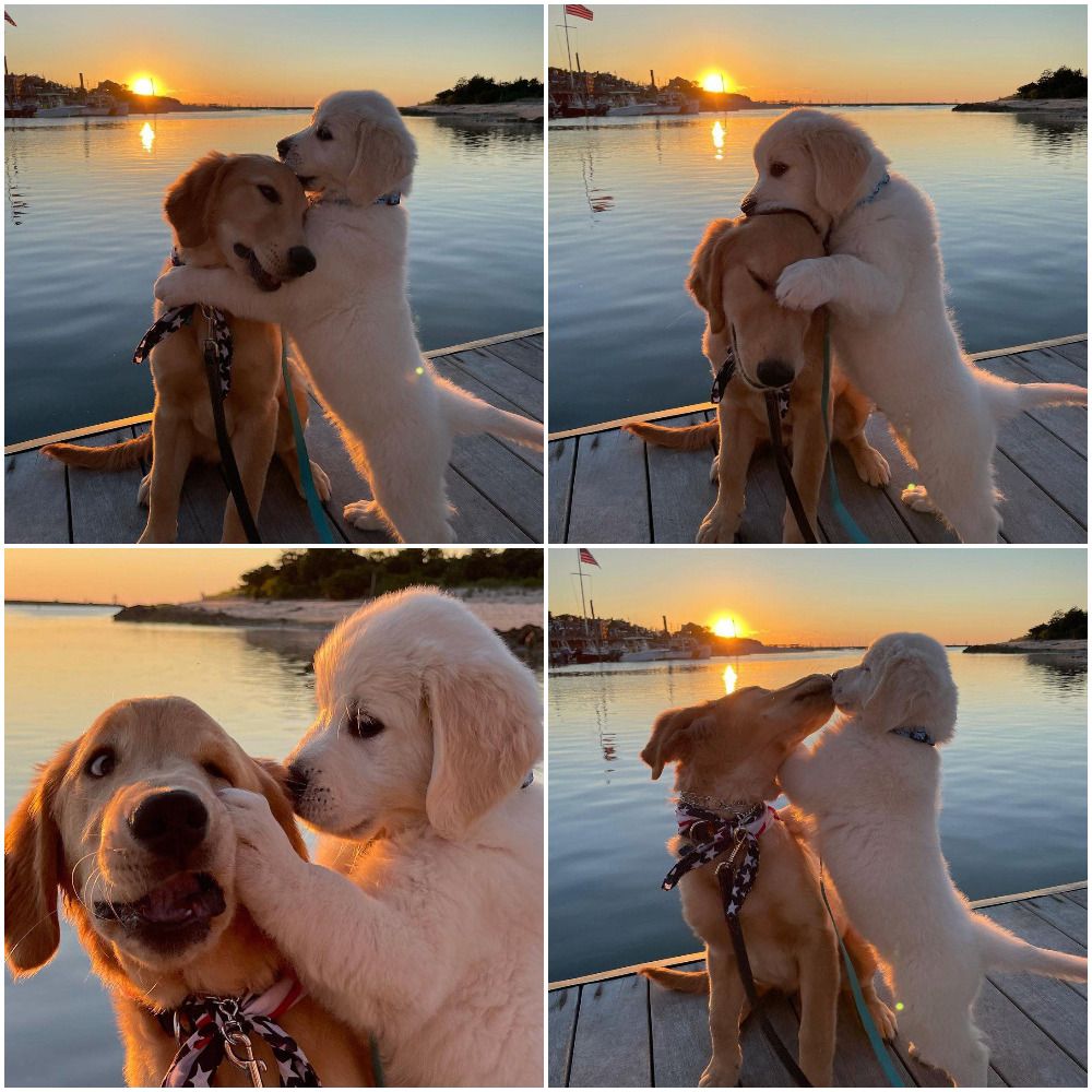 Typical sibling behaviour | Scrolller