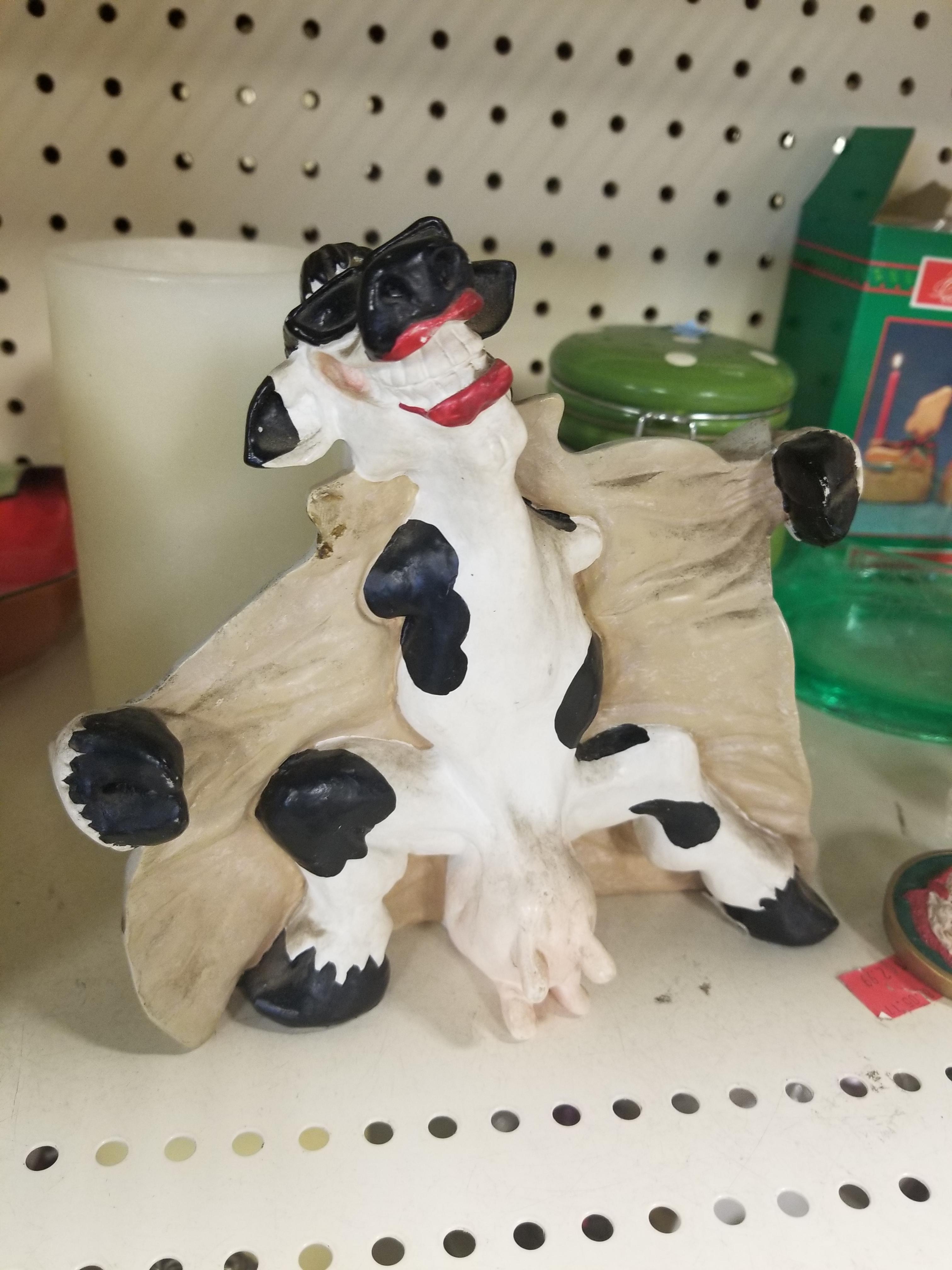 Udderly Amoosing | Scrolller