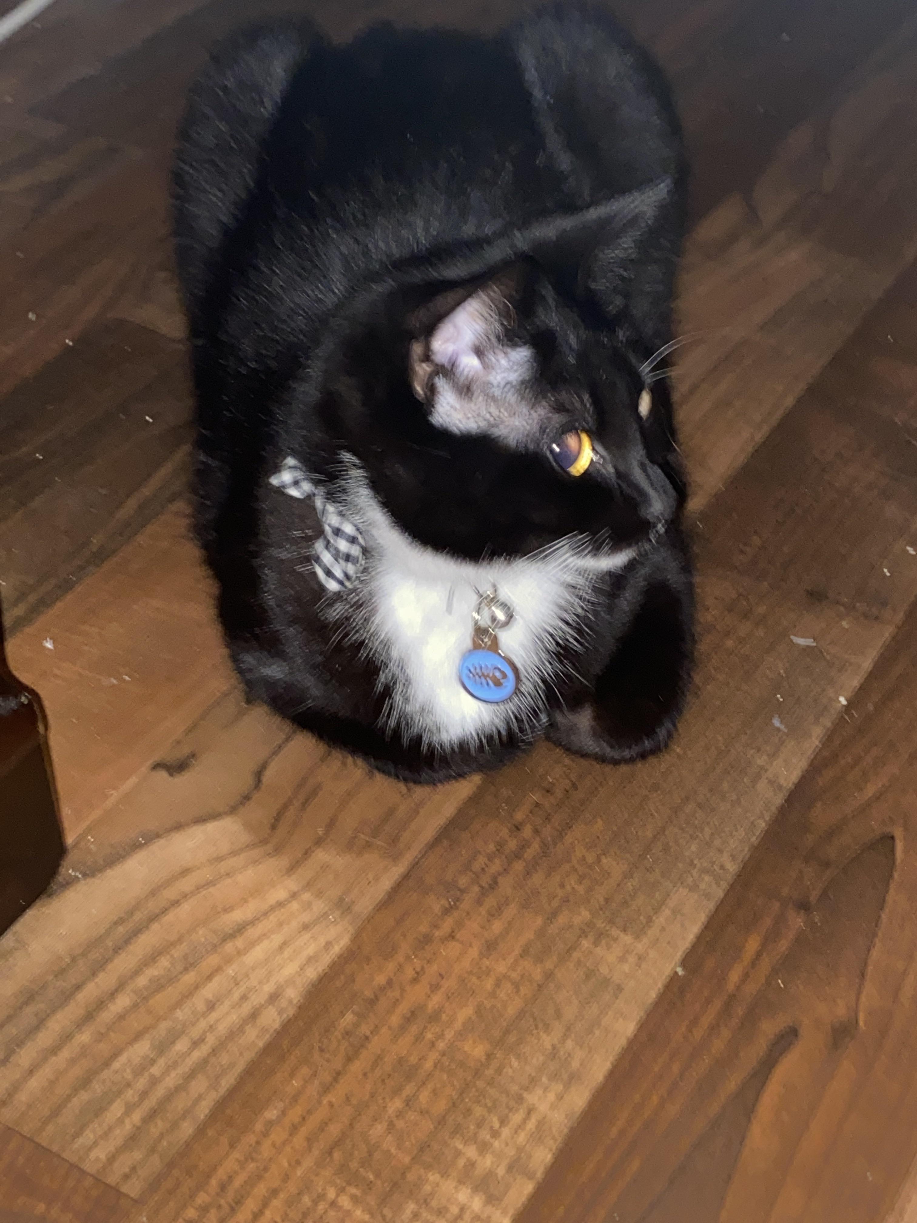 Uh oh I burnt my bean! | Scrolller