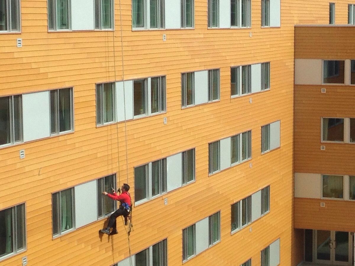 Un grimpeur sur les fenêtres des phases 3 | Scrolller