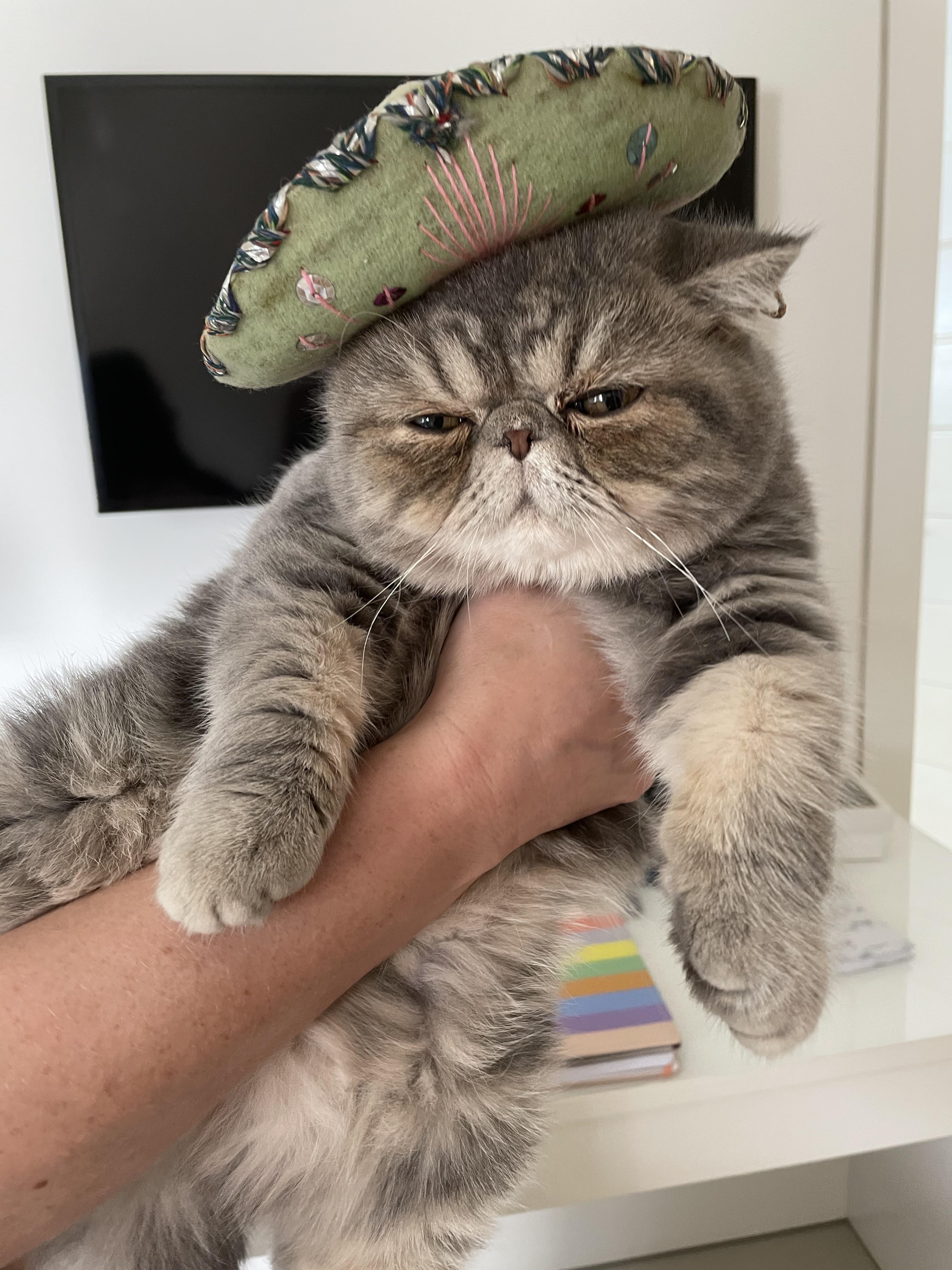 un poco loco! | Scrolller